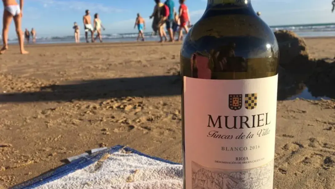 Nuestros vinos por todo el mundo | Muriel Wines