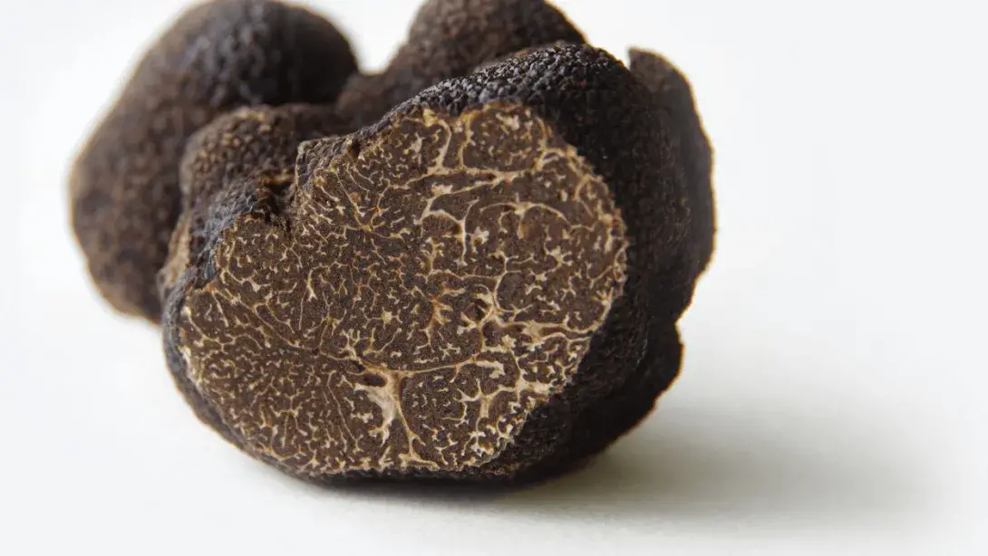 Armonías de trufa negra | Muriel Wines