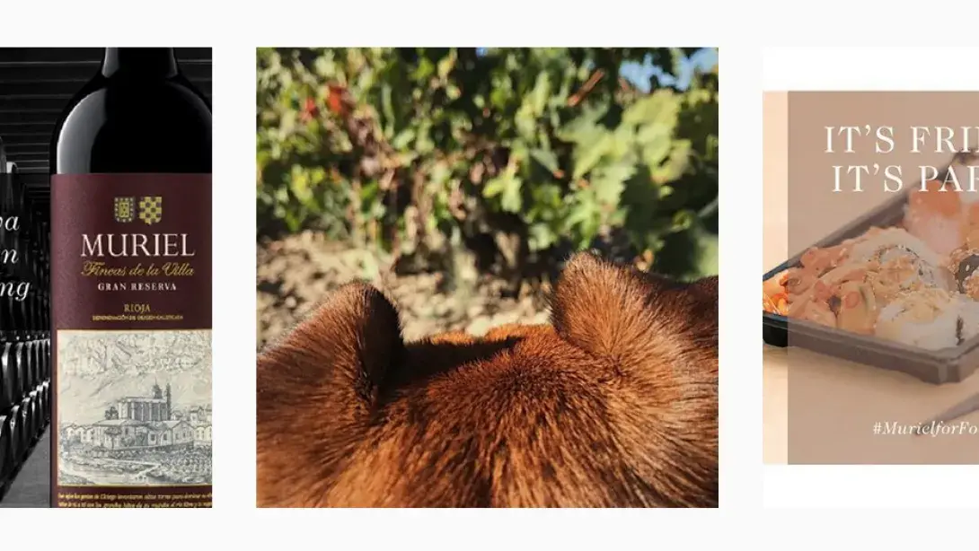 Brands that connect to the world | Muriel Wines